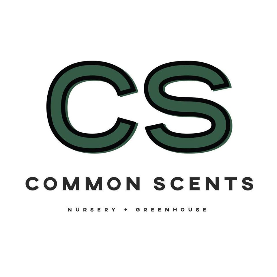 Common Scents Nursery | Common Scents Nursery
